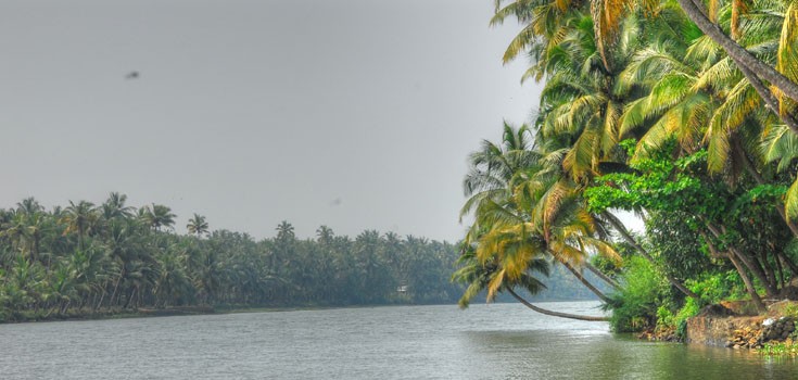 Vadanappally Village Thrissur - About Vadanappally in Kerala