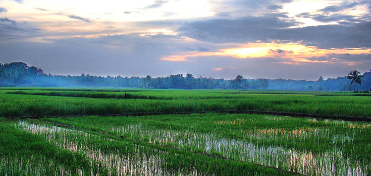 Kasaragod Tourism Kasaragod Travel Guide Tour Information - Kasaragod ...