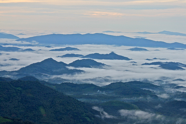 Wayanad - Just Kerala