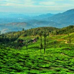 Wayanad Pictures - Latest Wayanad Travel Photos, Image Gallery of ...